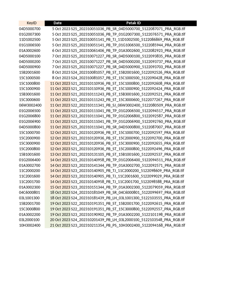 (PLB) Summary Mounding Palembang - Oktober | PDF