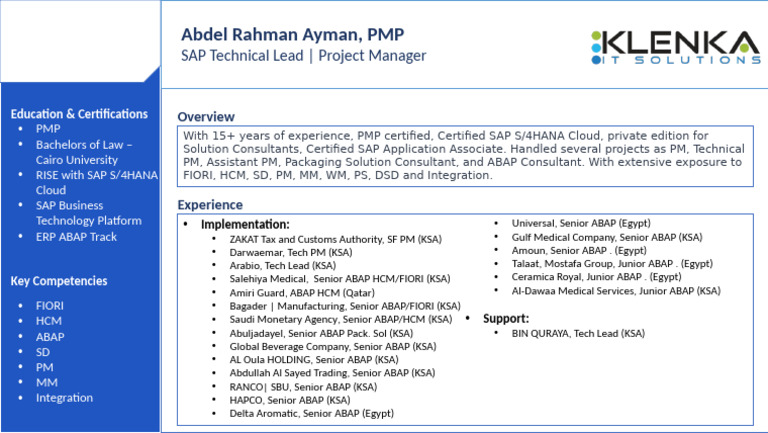 CV Template - Abdel Rahman Ayman | PDF