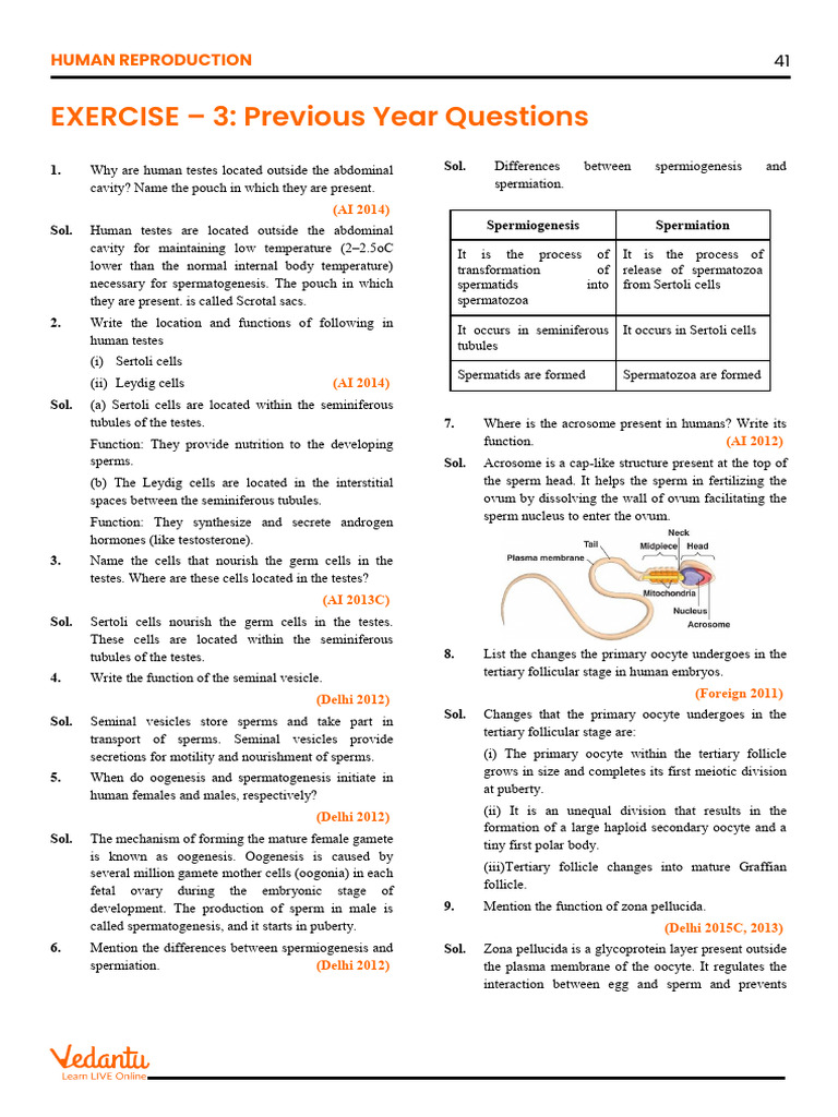 Ex - 3 Human Reproduction Solution File | PDF | Menstrual Cycle | Ovary