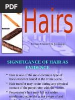 Hair Evidence in Forensic Investigations | PDF | Hair | Crime Scene