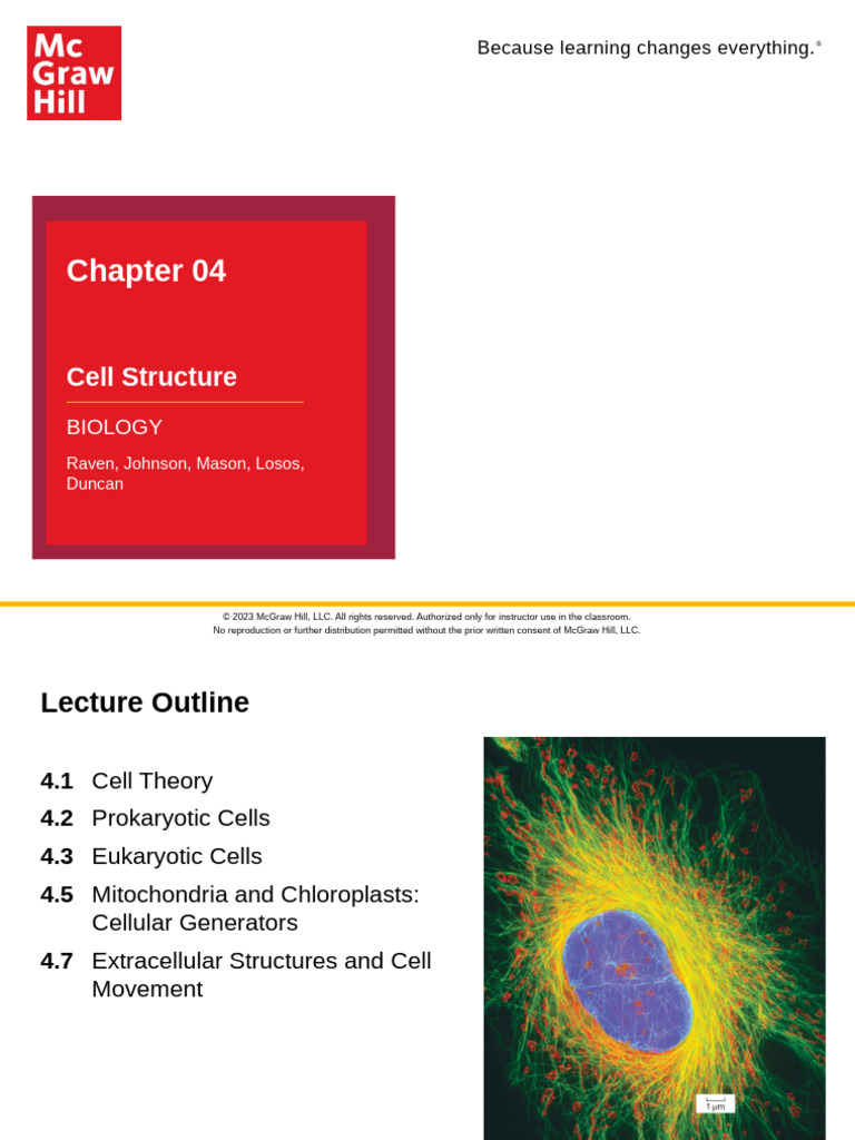 Raven Biology Ch04 PPT Accessible | PDF | Cell (Biology) | Eukaryotes