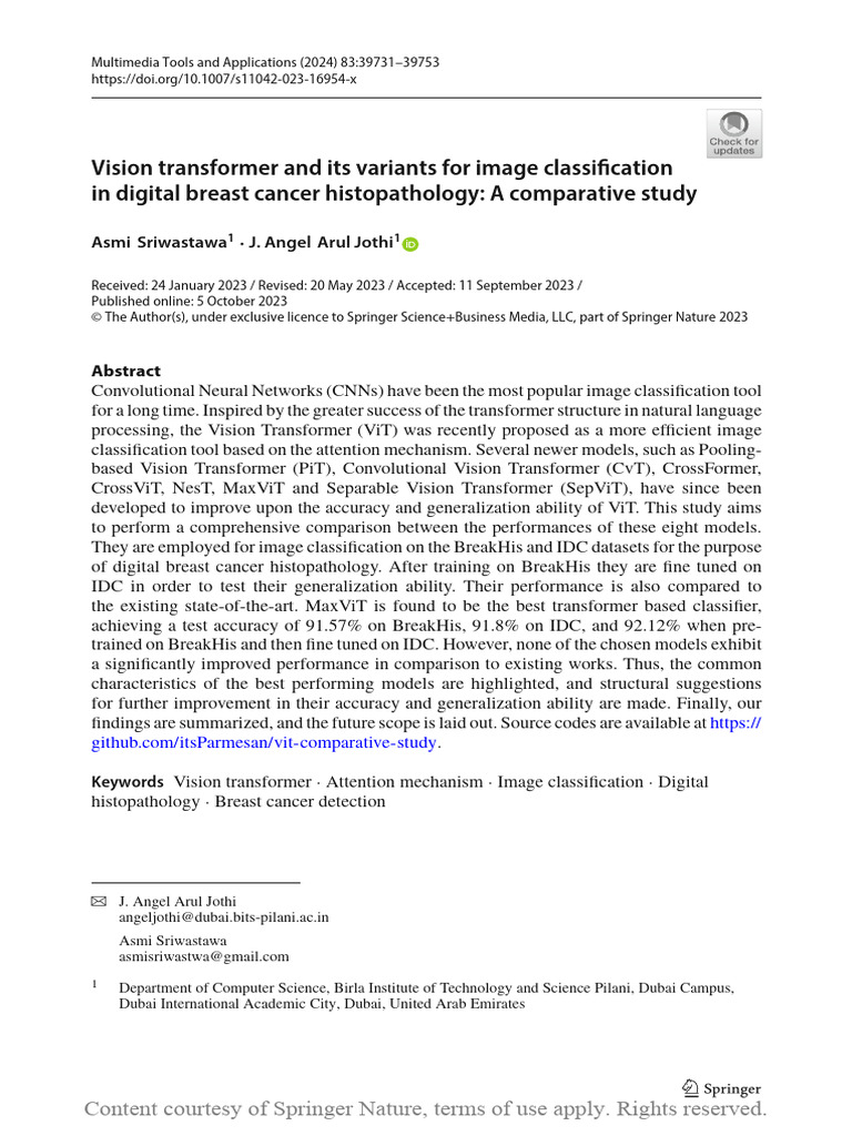 Vision Transformer and Its Variants for Image Clas | PDF | Machine ...