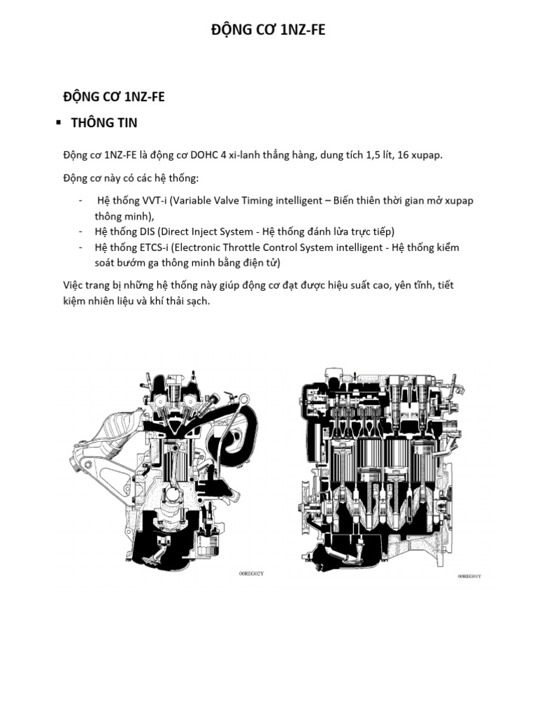 1nz-Fe (Phần Dịch) | PDF