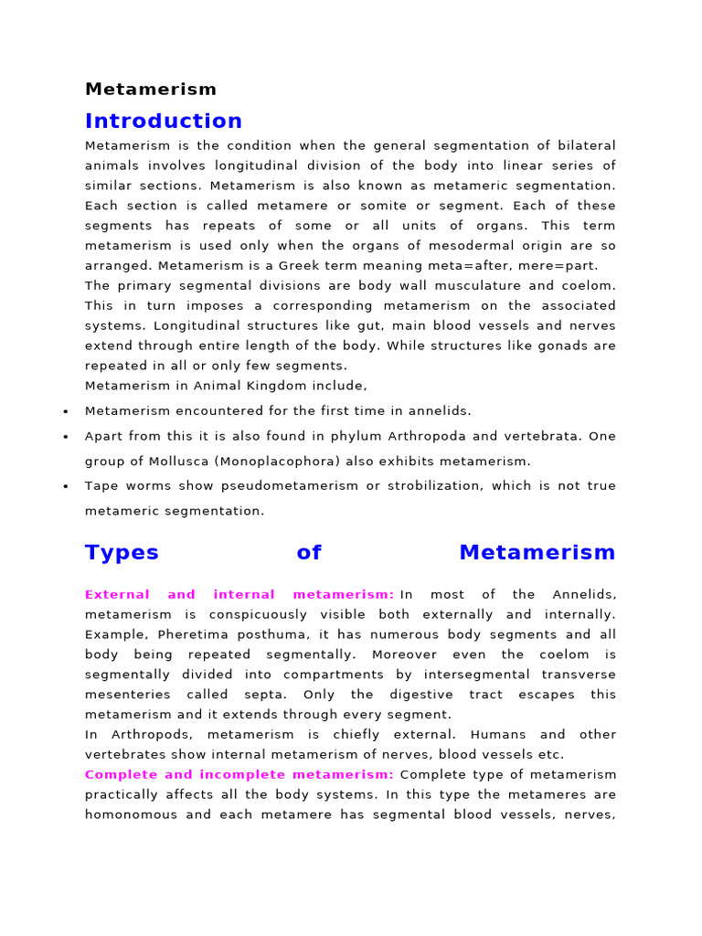 Metamerism | PDF | Biology