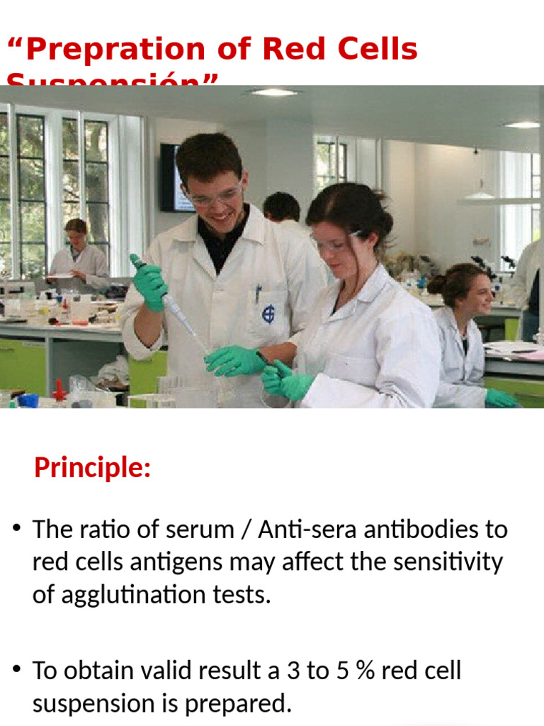 RBC Suspension | PDF