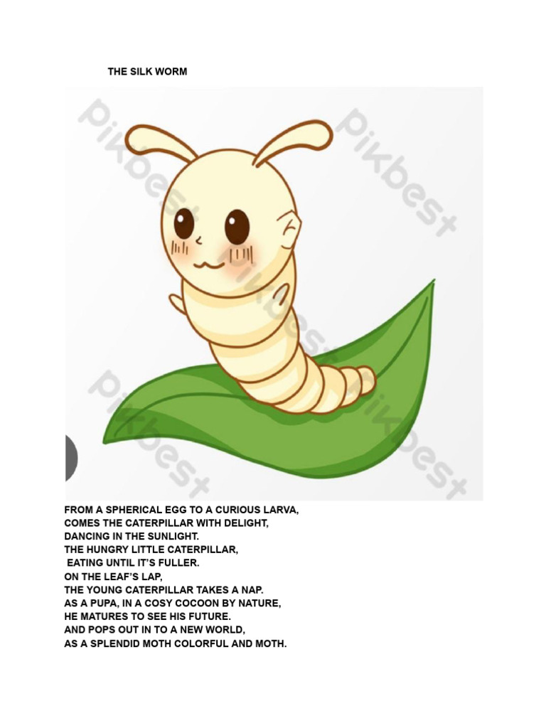 The Silk Worm | PDF