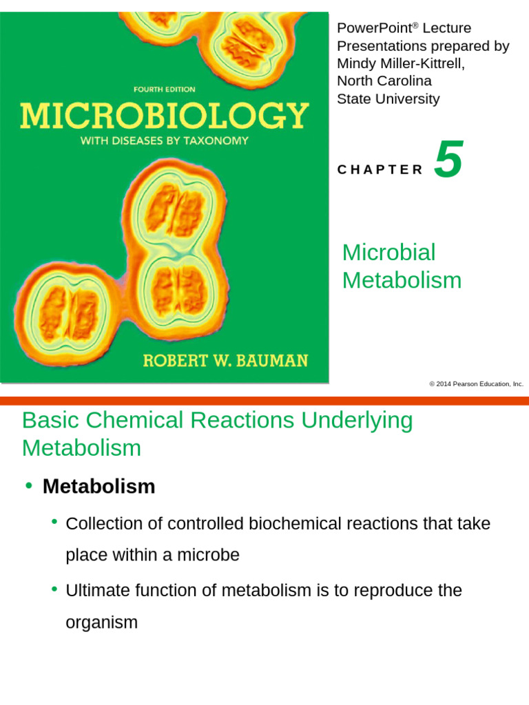 Microbial Metabolism Overview and Processes | PDF | Cellular ...