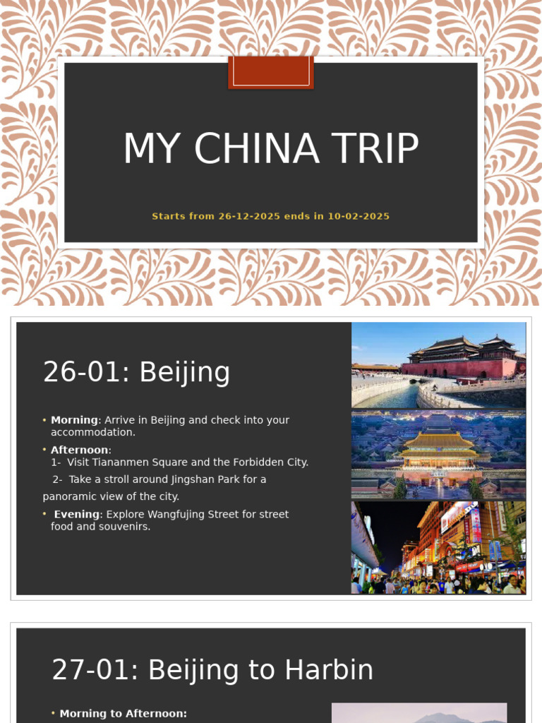 My China Trip | PDF