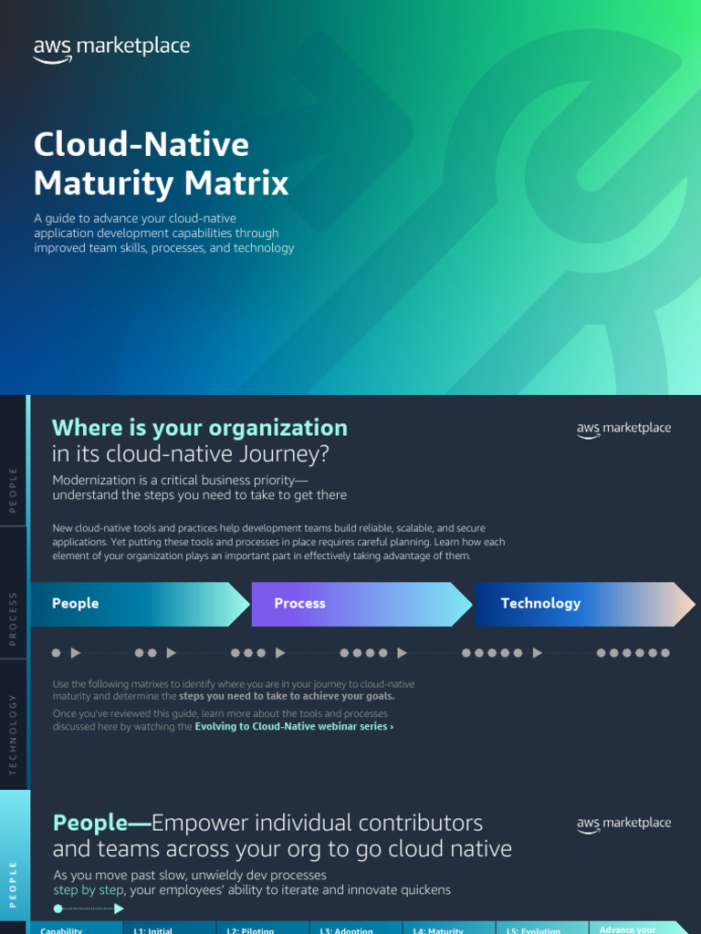 Cloud-Native Maturity Matrix Guide | PDF | Information Technology ...