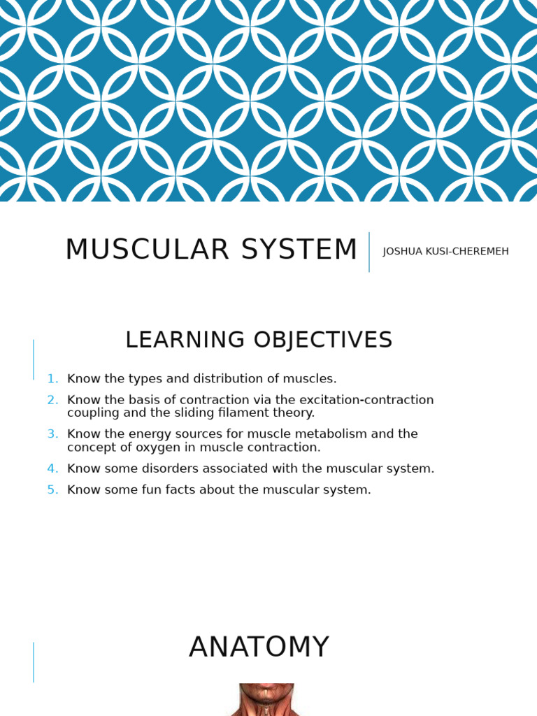 Overview of the Muscular System | PDF