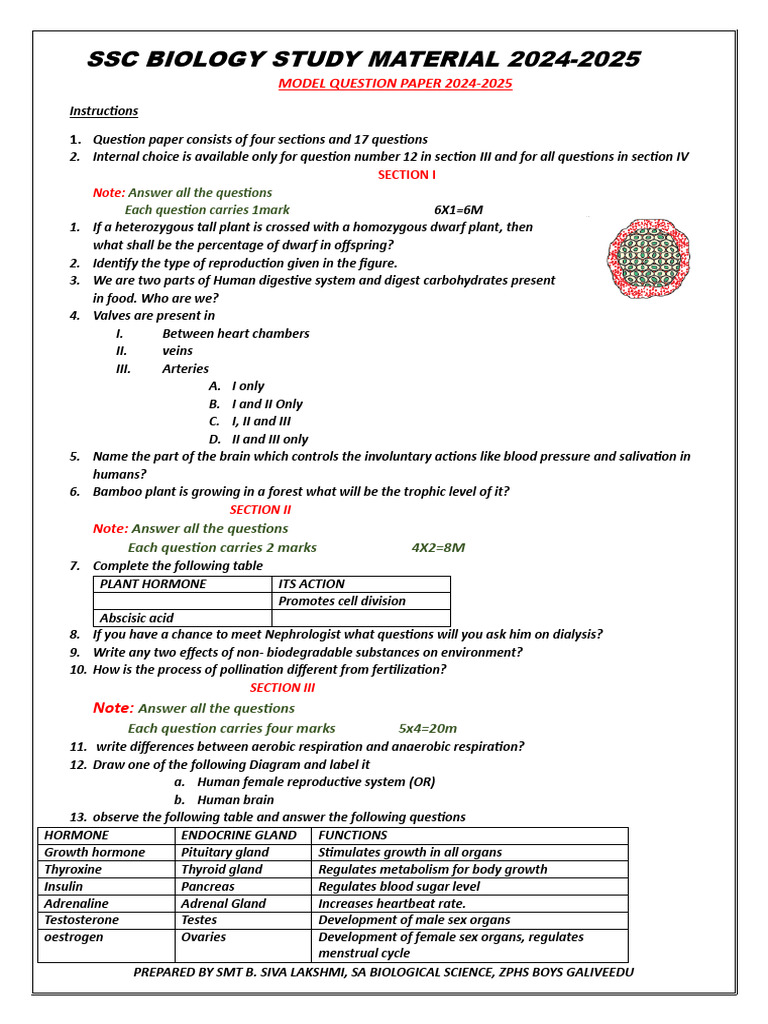 Chaduvu 10 SCI BS STUDY MATERIAL by Siva Lakshmi Madam Extracted 10042111 | PDF | Heredity ...
