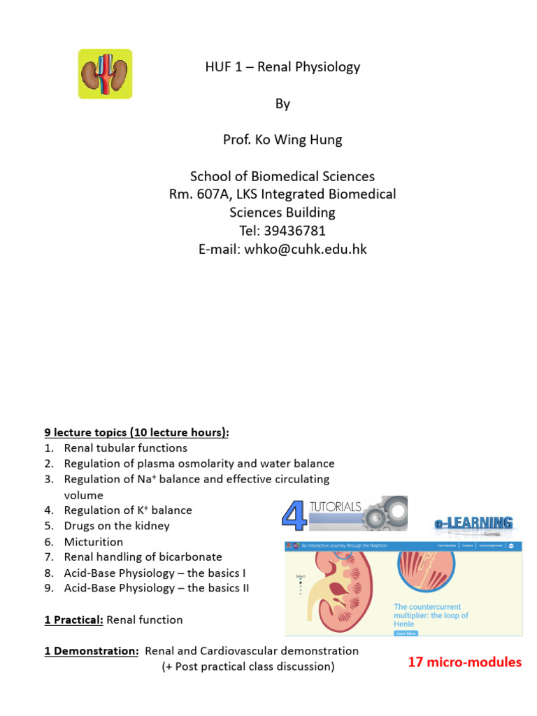 MEDU2400 Renal Physiology 2024 Lecture 1 | PDF | Kidney | Urinary System