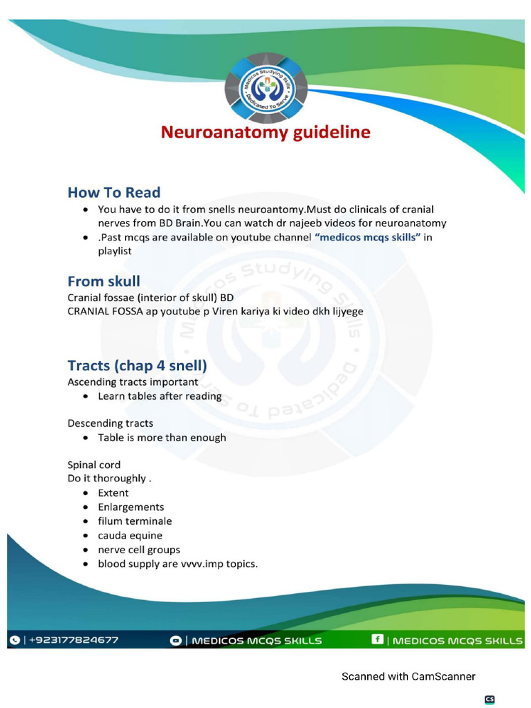 Neuroanatomy Guideline | PDF