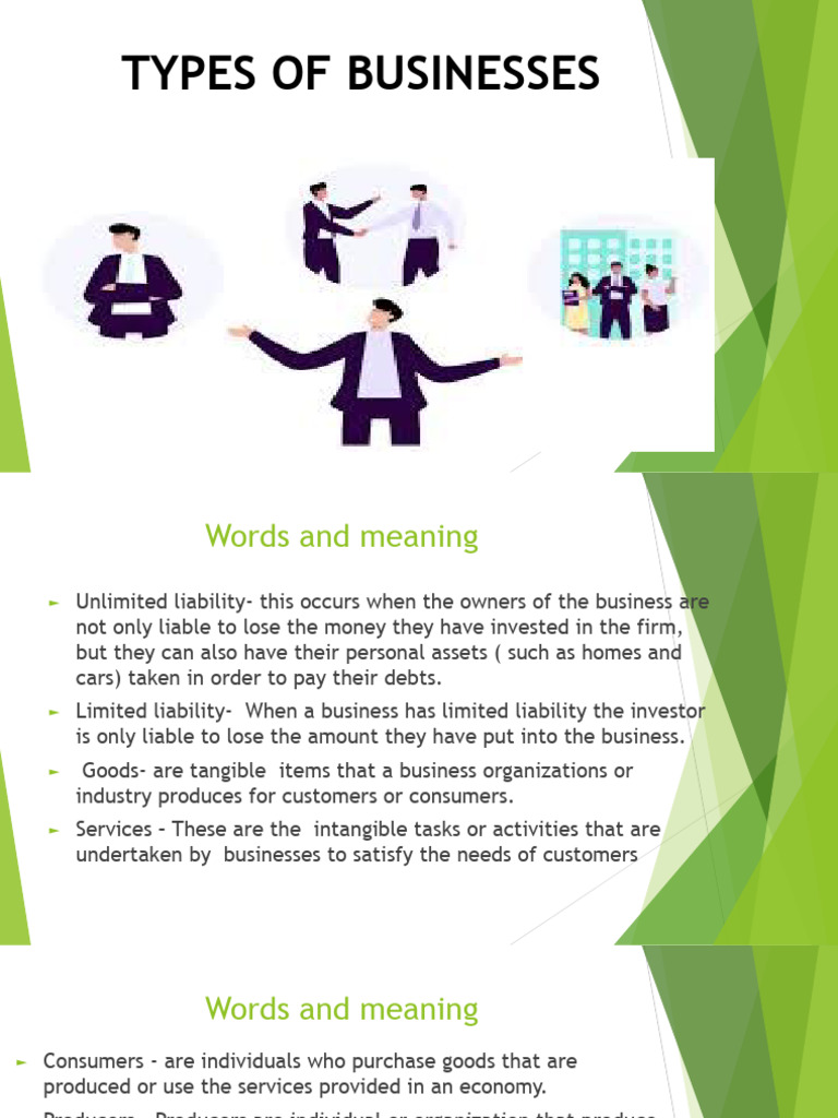 Types of Businesses Explained | PDF | Franchising | Sole Proprietorship