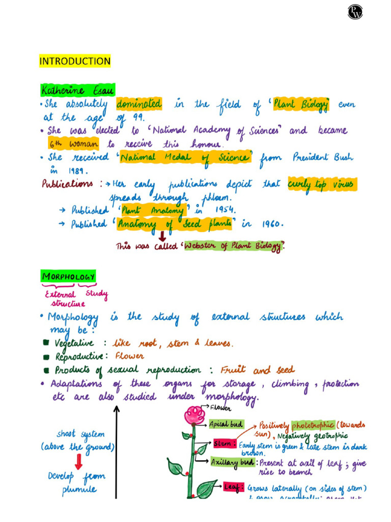 Morphology of Flowering Plants _ Handwritten Notes __ Botany | PDF