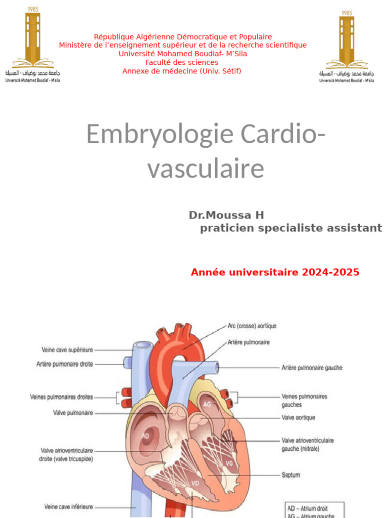Embryologie Cardiaque : Formation et Développement | PDF | Cœur ...