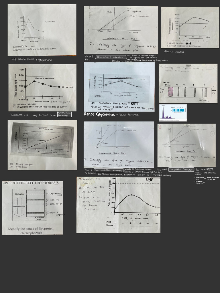 Biochem Graphs | PDF