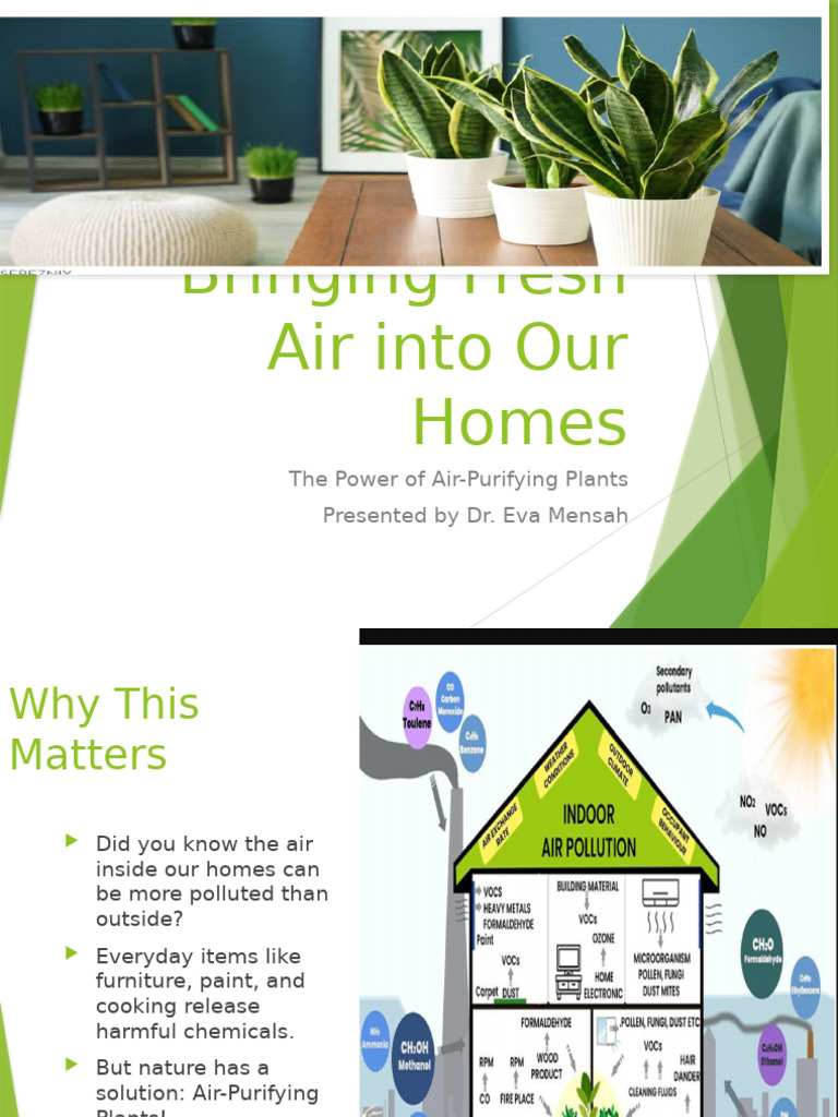 Benefits of Air-Purifying Plants | PDF | Air Pollution | Natural ...