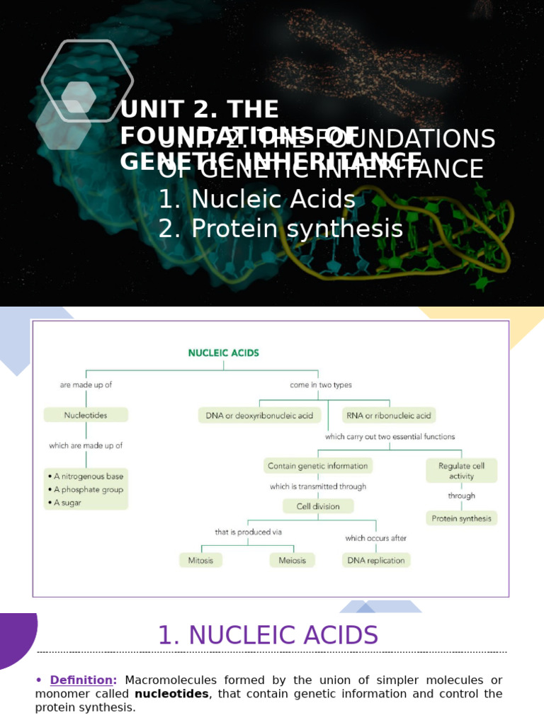 Unit 2. The Foundations of Genetic Inheritance Students Parts 1 and 2 ...