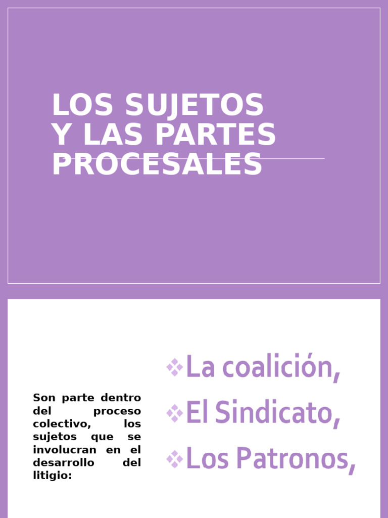 Los Sujetos y Las Partes Procesales | PDF | Sindicato | Justicia