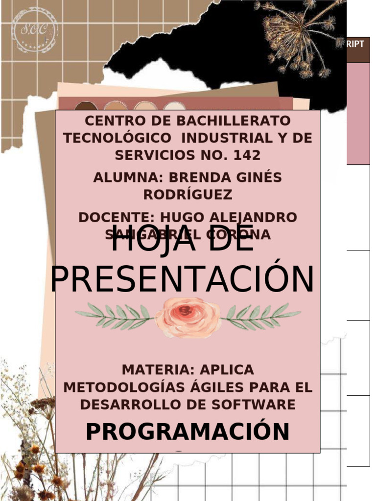 Cuadro Programación Oficial | PDF