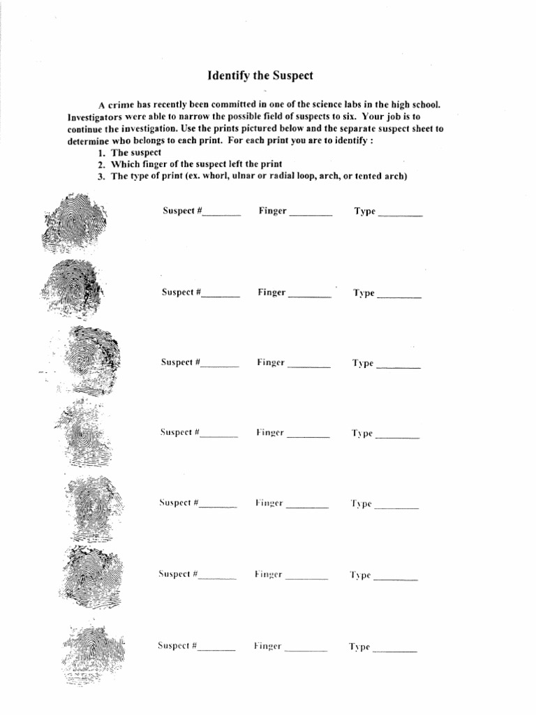 F 2 Fingerprint Game | PDF