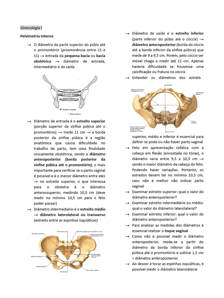 Pelvimetria Interna Pdf Pélvis