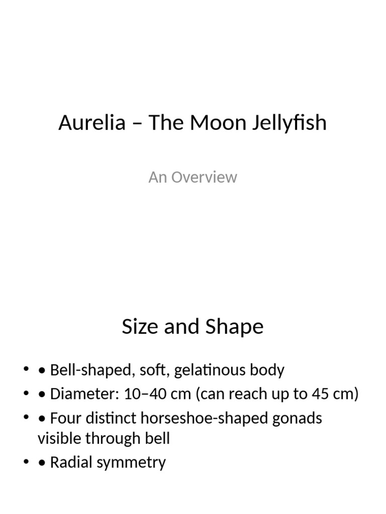 Overview of Aurelia Moon Jellyfish | PDF