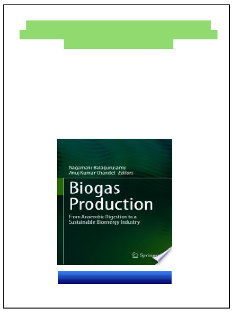 Biogas Production From Anaerobic Digestion to a Sustainable Bioenergy ...
