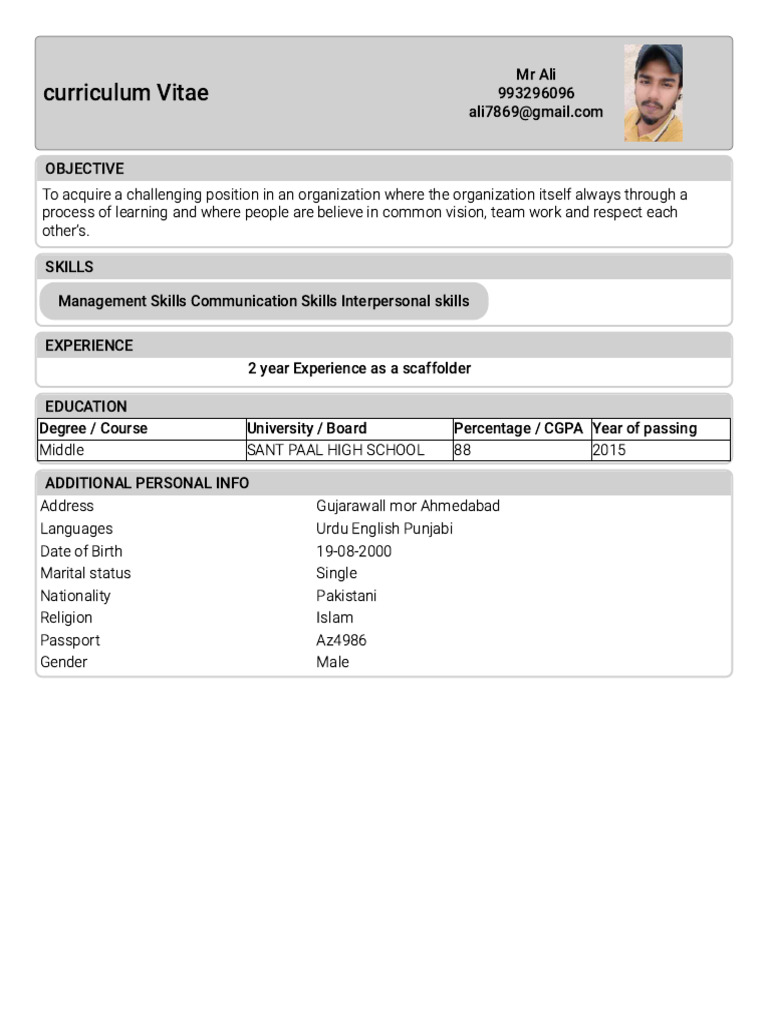 Mr. Ali's Professional CV Summary | PDF