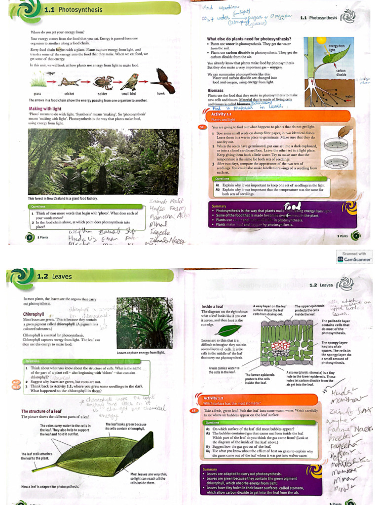 Chapter 1 (Sci) Grade 7 | PDF