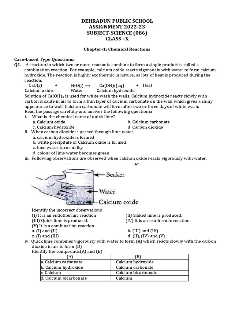 Science X All Assignments | PDF | Oxide | Chemical Reactions