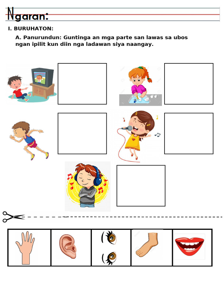 Function of Body Parts Worksheet | PDF