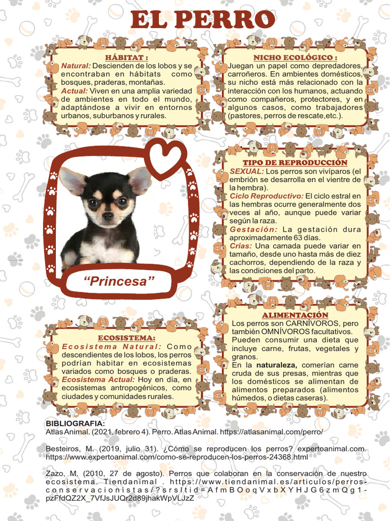 Hábitat y ecosistema del perro | PDF | Perros | Habitat