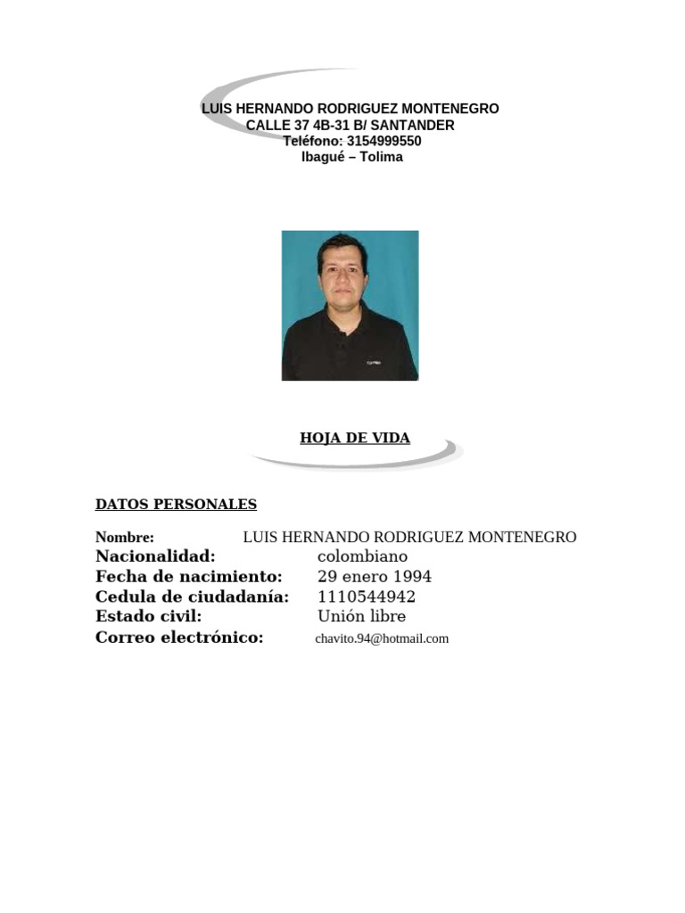 Hoja de Vida Luis Hernando Rodriguez 2025 | PDF | Electrónica | Software