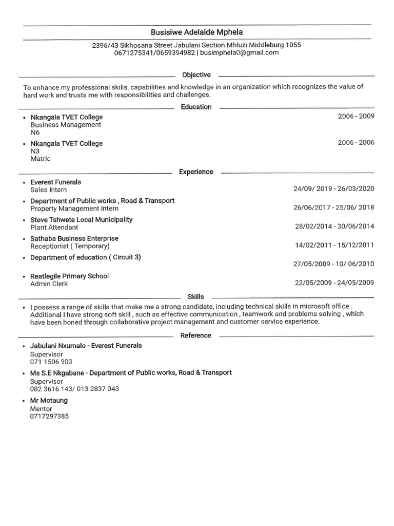 Ses Busi CV | PDF