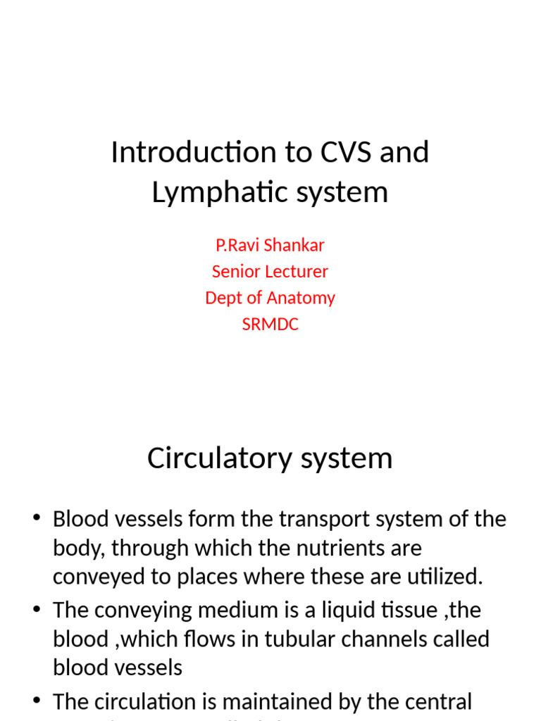 Overview of CVS and Lymphatic System | PDF | Lymphatic System | Lymph Node
