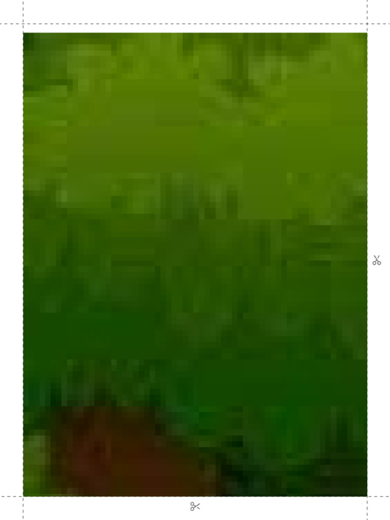 The Bear and The Bee BG | PDF