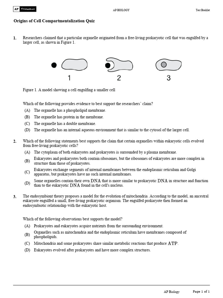 TB OriginsofCellCompartmentalizationQuiz 6330446cde1a13.6330446da89c41 ...