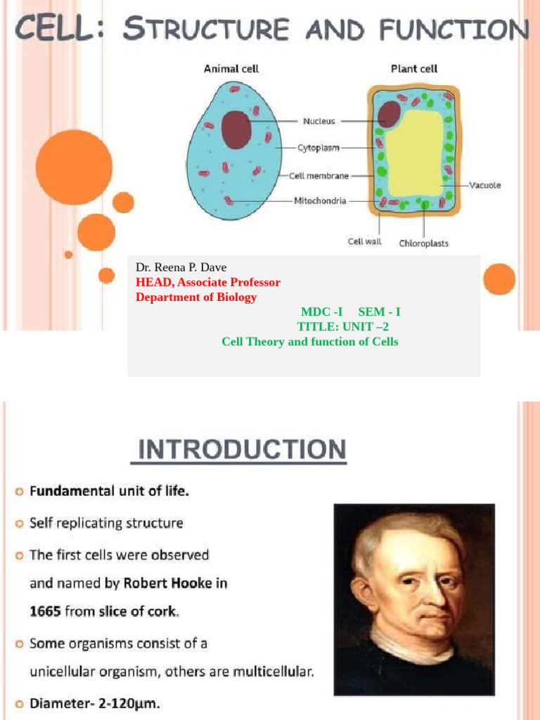 Cell Theory and Function of Cells | PDF