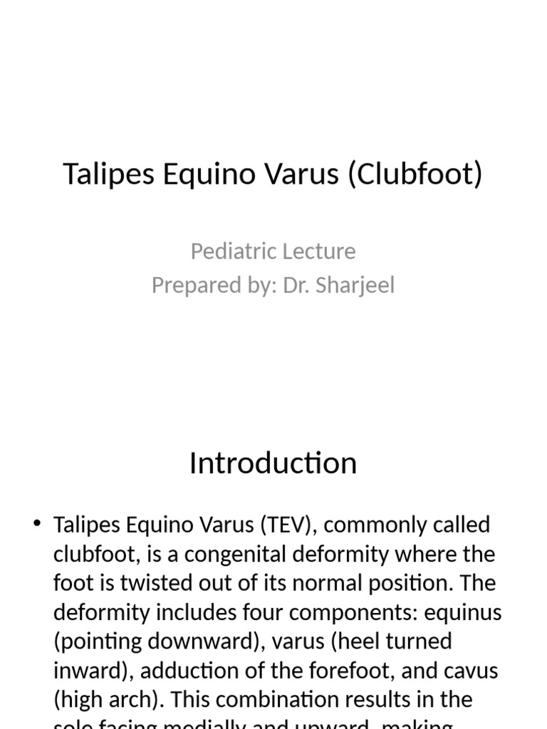 Talipes Equino Varus Pediatrics | PDF | Medical Specialties | Human ...