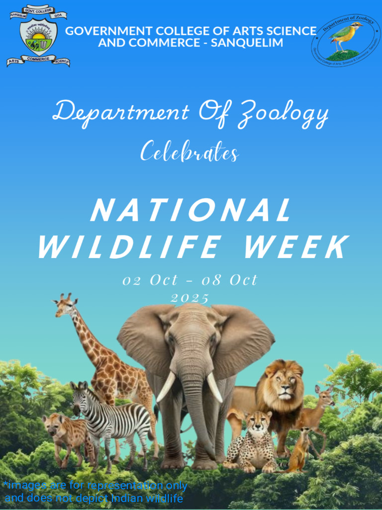 Wildlife Week Brochure | PDF