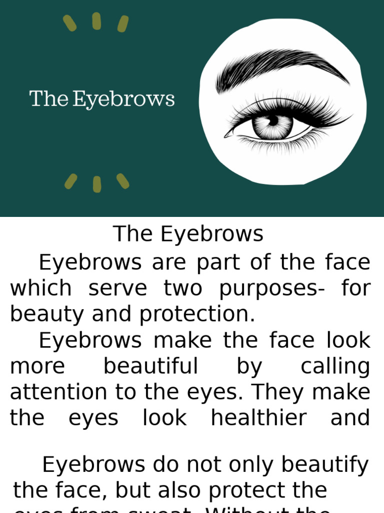 Importance of Eyebrows for Beauty and Protection | PDF