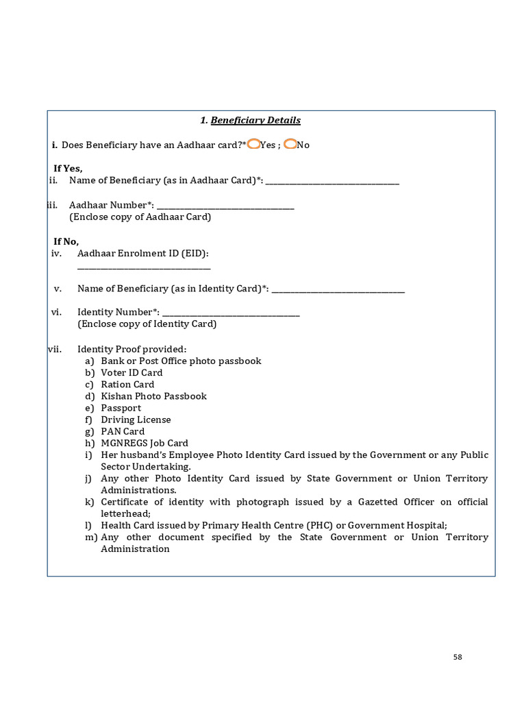 PMMVY Registration Form Guidelines | PDF | Identity Document ...