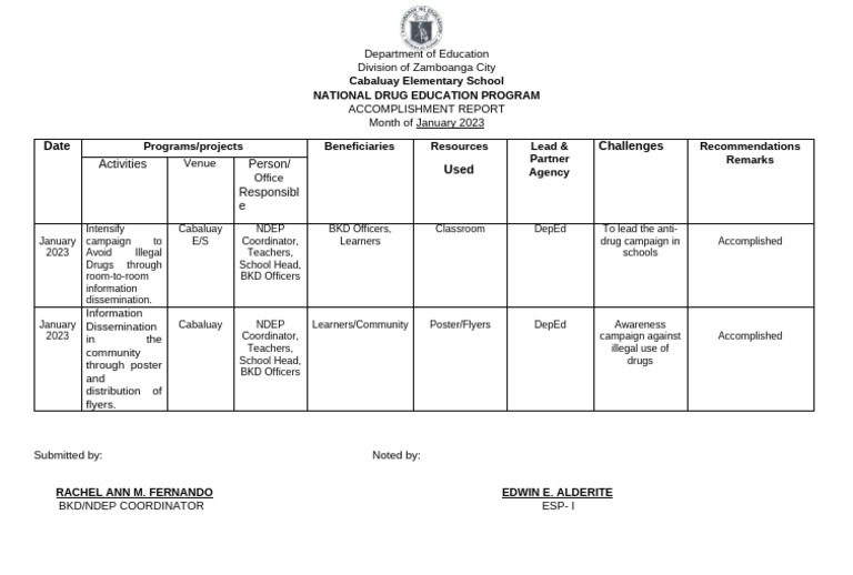 January Ndep Report Cabaluay Es | PDF