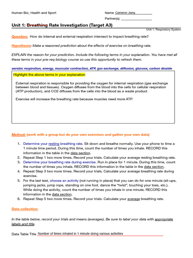 HBHS U1 Lab - Breathing Rate Investigation | PDF | Breathing | Cellular ...