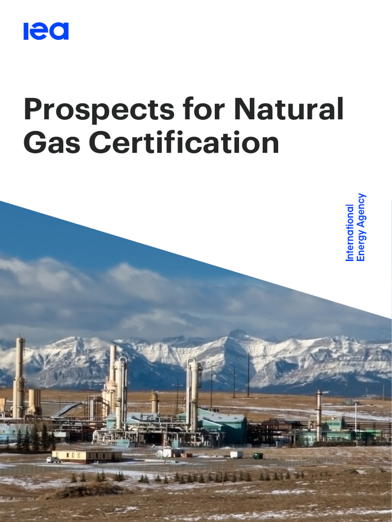 Natural Gas Certification Prospects | PDF | Natural Gas | Greenhouse Gas