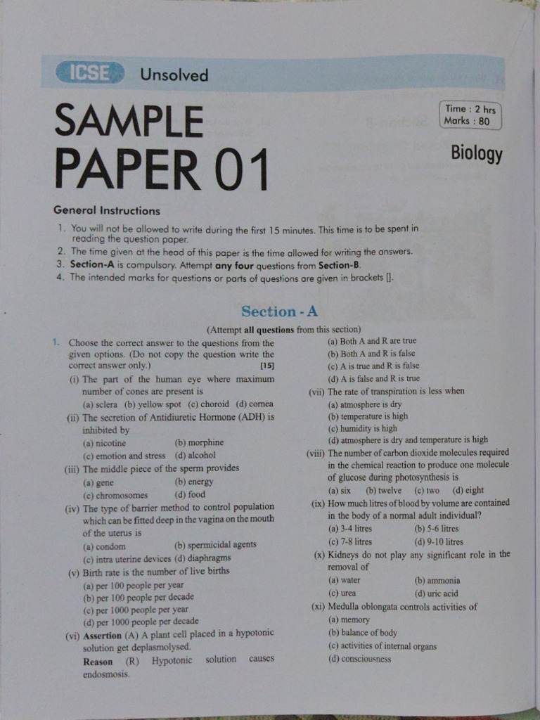 Sample Paper 1 | PDF