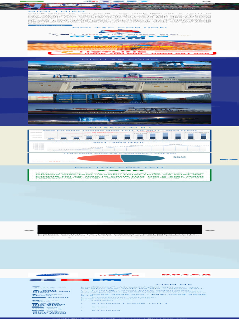 Tan Cang - Cai Mep International Terminal | PDF