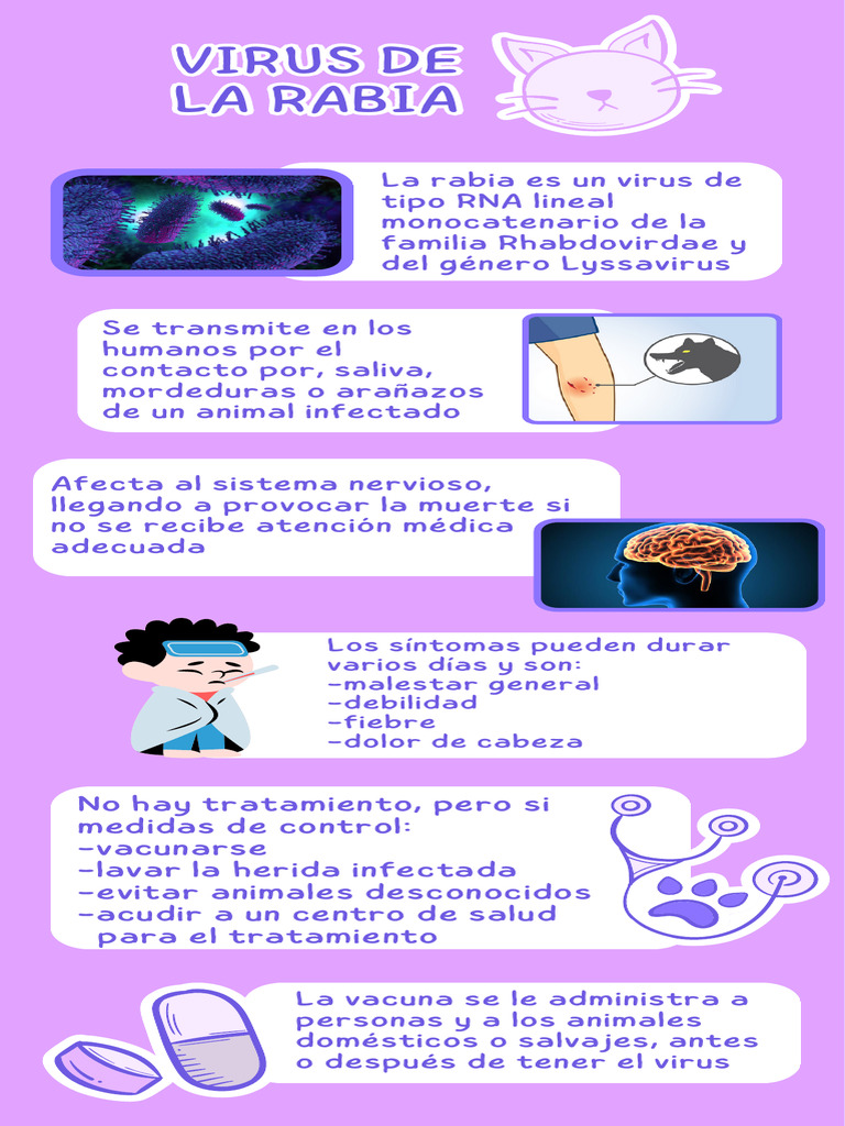 Virus de La Rabia | PDF
